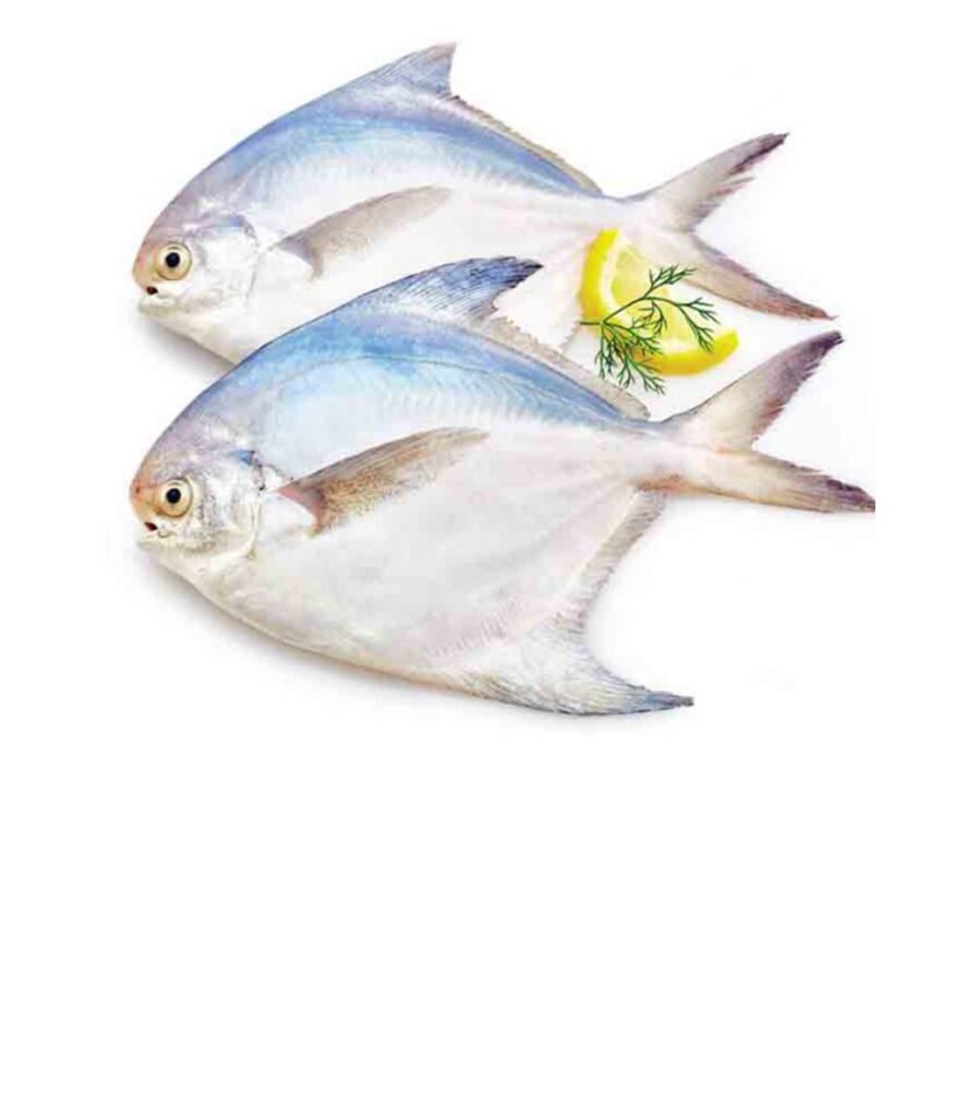 Product – www.flaminqoshrimpex.com