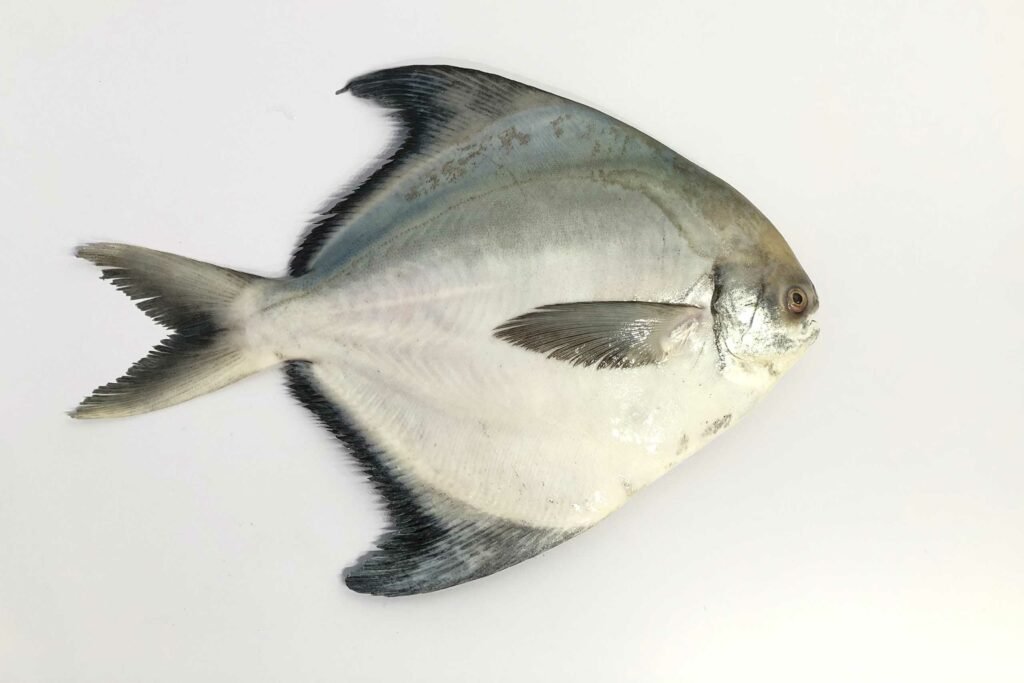 Product – www.flaminqoshrimpex.com